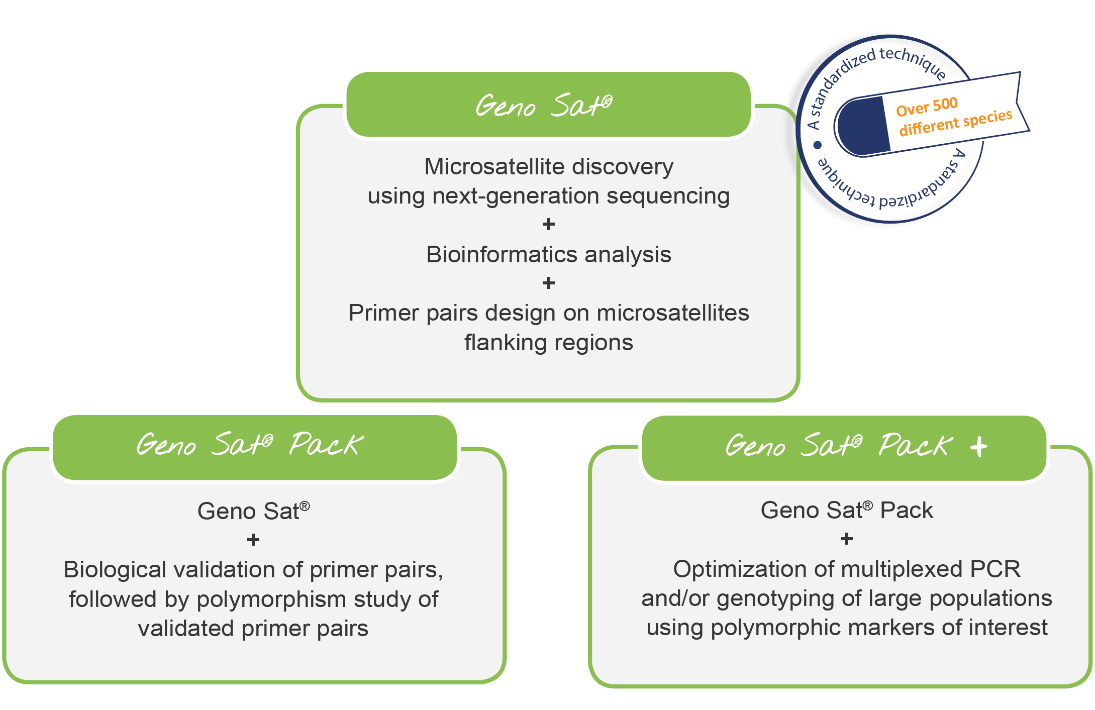 SSR Microsatellite Genotyping SSR Microsatellite Genotyping